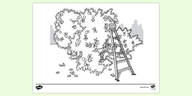 FREE! - Apple Picking Colouring Page | Colouring Sheets