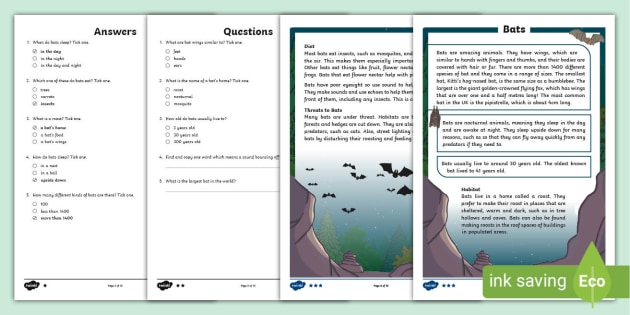 Reading Comprehension Bats Worksheet