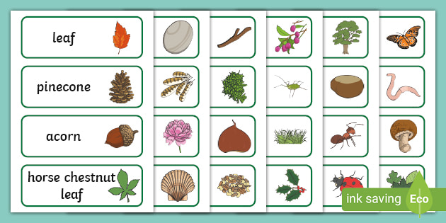 Nature Table Display Word Cards