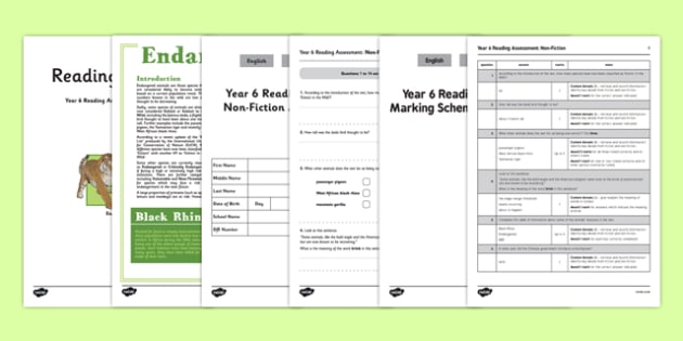 Year 6 Term 2 Non-Fiction Reading Assessment