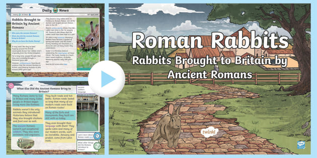 UKS2 Roman Rabbits Daily News PowerPoint (teacher made)
