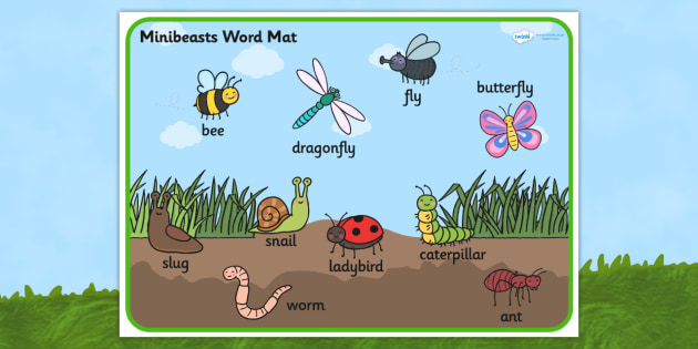Minibeast Scene Word Mat (teacher made)