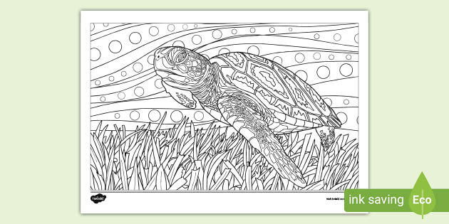 Turtle Mindfulness Colouring Page (teacher made)