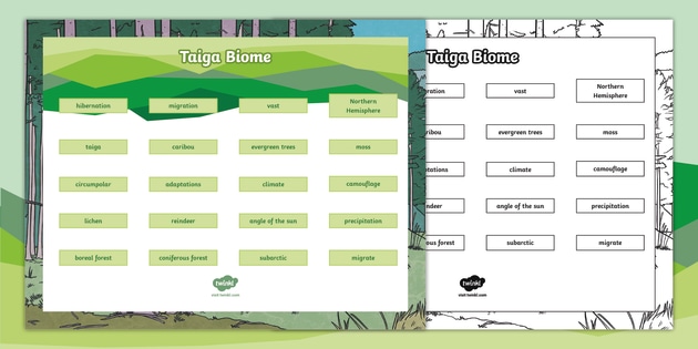 Taiga Biome Vocabulary Mat (Teacher-Made)