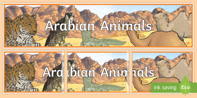 Arabian Animals Display Banner