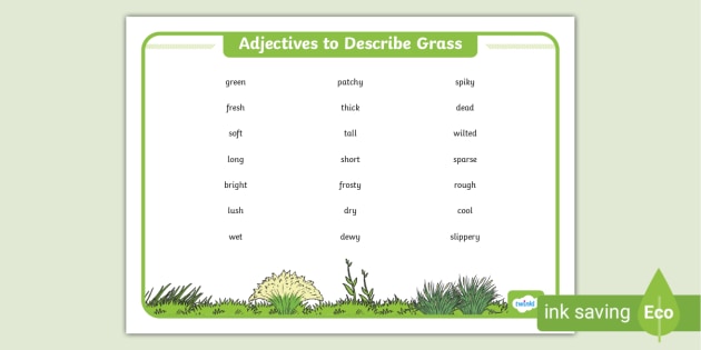 Adjectives to Describe Grass Word Mat (teacher made)
