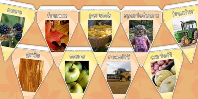 Recolta de toamnă - Stegulețe pentru decor (teacher made)