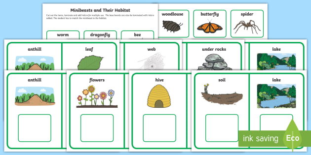 Workstation Pack Minibeasts and their Habitat Matching Activity Pack
