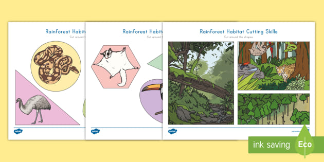 Rainforest Habitat Cutting Skills Activity - Twinkl