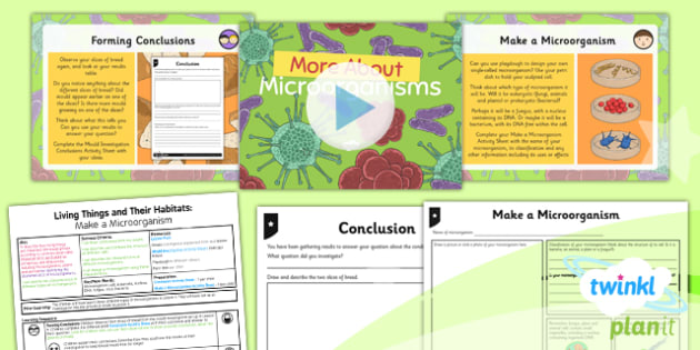 Science: Living Things and Their Habitats: More About Microorganisms Year 6