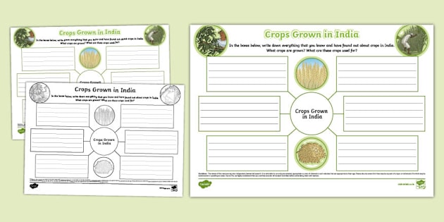 India Mind Maps | twinkl.com.au