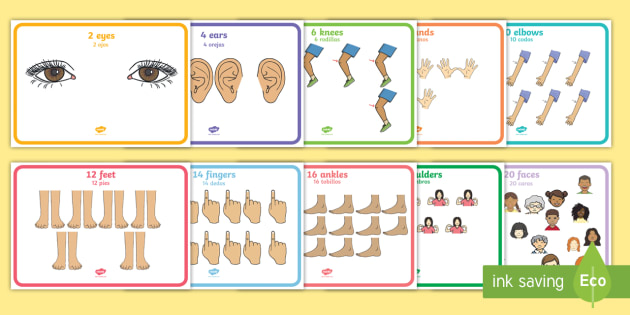 Body Parts Counting in 2s Display Posters English/Spanish - EAL, Body Parts