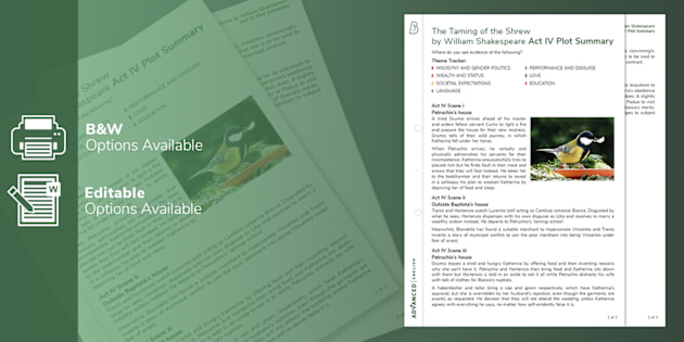 Play Summaries | twinkl.com.au