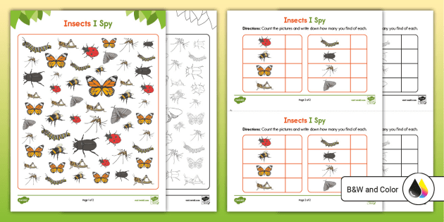 Kindergarten All About Insects Trifold File Folder Activity