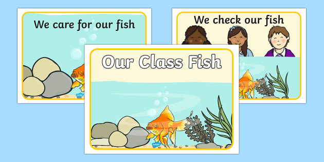 Our Class Fish Display Posters (teacher made)