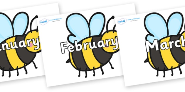 Months of the Year on Bees