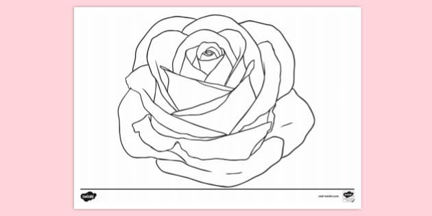 Rose Colouring Page | Colouring Sheets