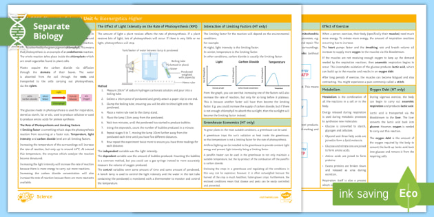 Bioenergetics Knowledge Organiser | AQA Biology | Beyond