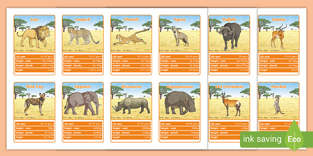 African Animal Top Cards Game
