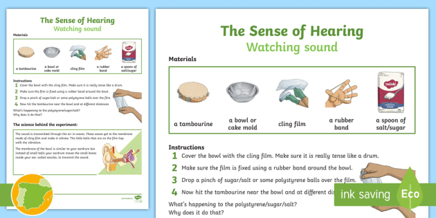 Watching Sound Science Experiment (teacher made)