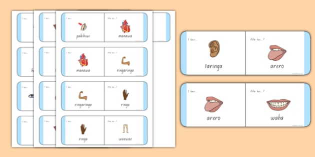 Parts of the Body Loop Cards Te Reo Māori