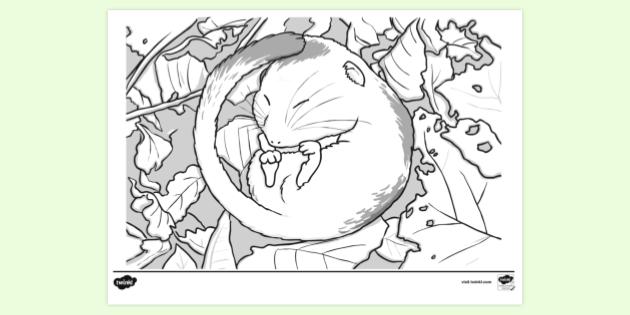 Hibernating Mouse Colouring Sheet (teacher made)