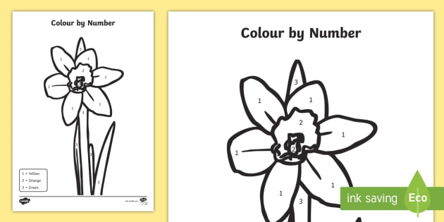 Daffodil Colour By Number Sheet (teacher made)