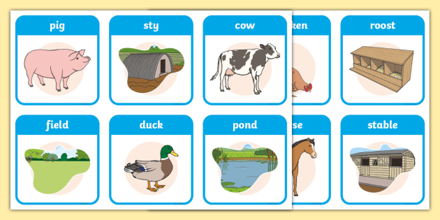 Farm Animals Matching Cards | twinkl.com.au