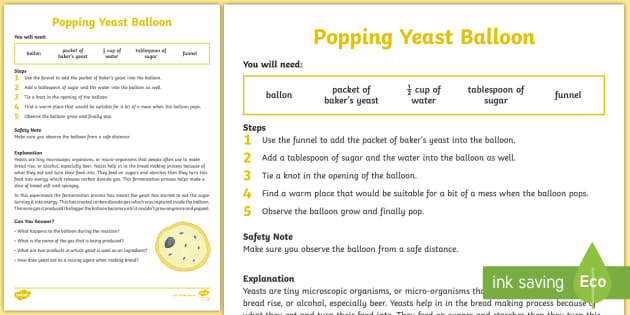 Exploding Yeast Balloon Science Experiment (teacher made)