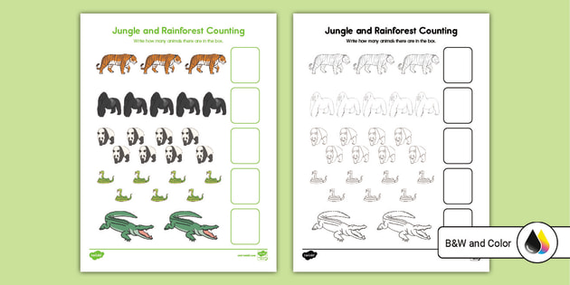 Jungle and Rainforest Counting Activity (teacher made)