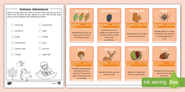 Autumn Nature Hunt with Cards - Autumn Activity for Kids