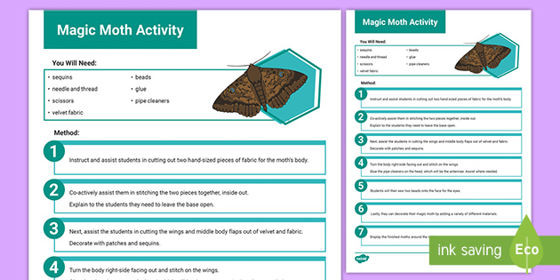 Magic Moth Activity (teacher made)