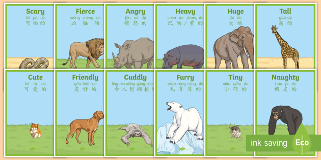 Zoo Animals Adjectives Display Posters English/Mandarin Chinese/Pinyin ...