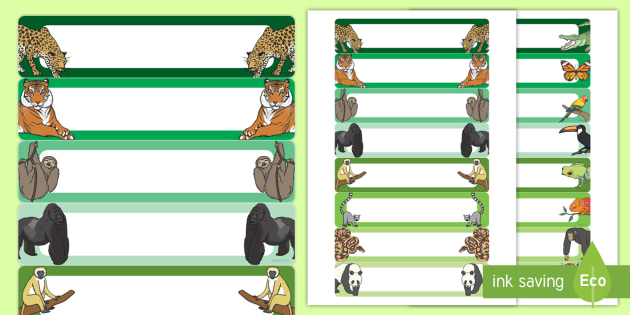 Editable Jungle and Rainforest Tray Labels