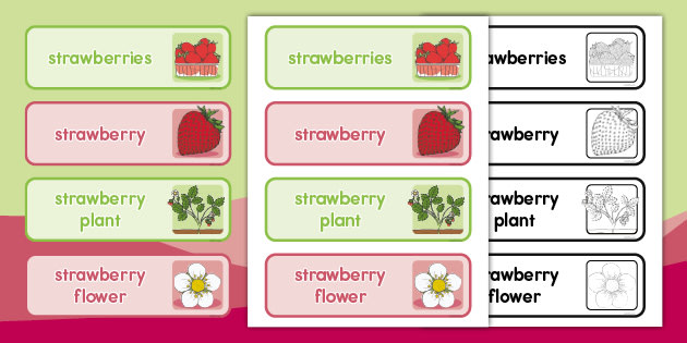 Strawberry Farm Stand Dramatic Play Word Cards