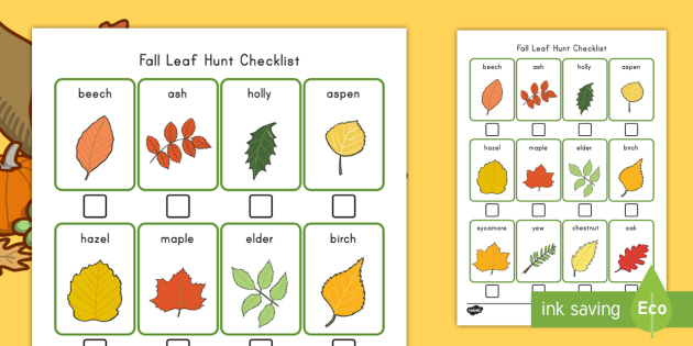 Fall Leaf Hunt Checklist (teacher made)