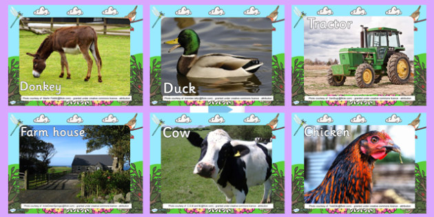 Farm Animals PowerPoint | Farm Animals Display Photos