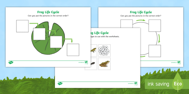 Life Cycle of a Frog Worksheet - Primary Resources