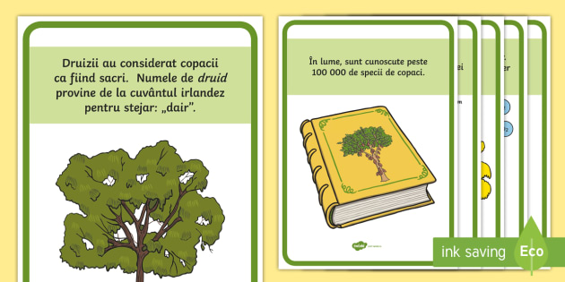 Copacii Planșe informative (teacher made)