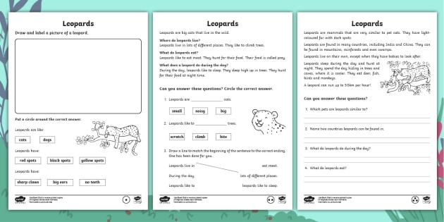 Leopards Differentiated Worksheet / Worksheets