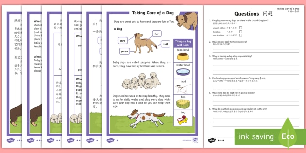 KS1 How To Look After a Dog Differentiated Reading Comprehension Activity