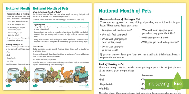 National Month of Pets Fact File (teacher made)