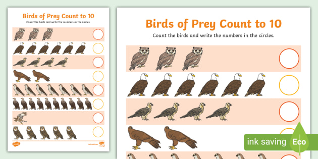 👉 * NEW * Counting to 10 with Birds of Prey Activity, Birds
