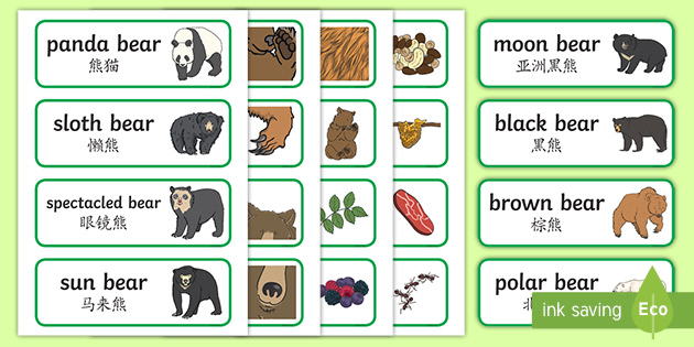Bears Word Cards - English/Mandarin Chinese (teacher made)