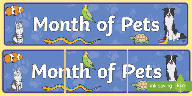 KS1 Month of Pets Display Banner (teacher made)