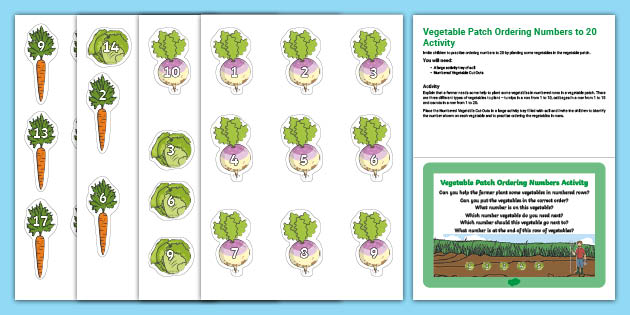👉 Vegetable Patch Ordering Numbers to 20 Activity