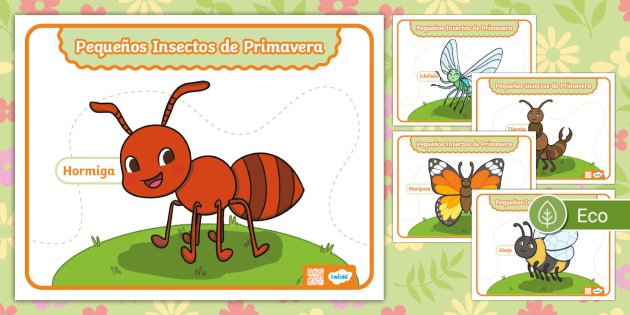 Hojas De Trabajo Sobre Insectos Para Preescolar Ilustración De