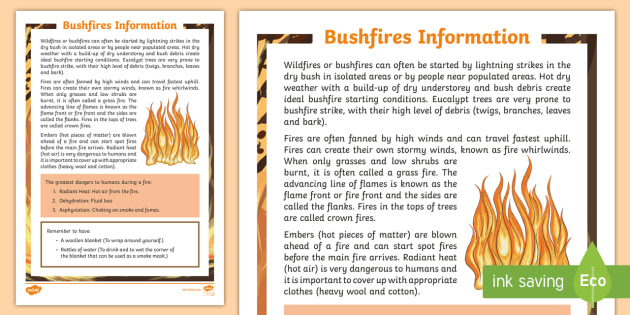 Bushfire Fact File (teacher made)
