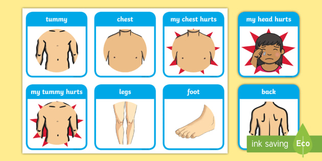 Parts Of The Body Communication Cards