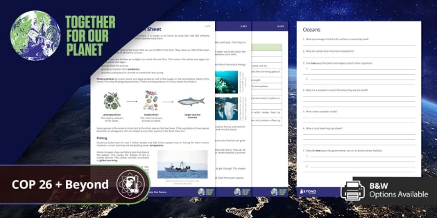 COP26: Oceans Reading Comprehension Age 11+ | Beyond